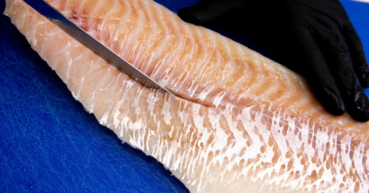 Sustainable cod and chips – Westgate Fish & Chip Shop